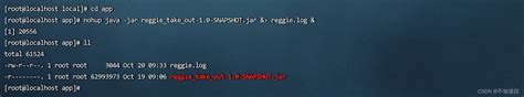 Linux常用命令操作及springboot项目的部署纯命令行部署springboot Csdn博客