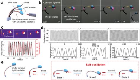 Self‐oscillation Of The Oscillator Under Constant Light A Schematic Download Scientific