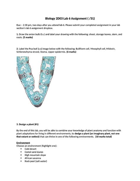 Biology 2D03 Lab 6 Assignment Biology 2D03 Plant Biodiversity And Biotechnology Studocu