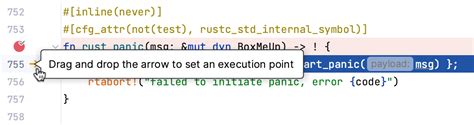 Set Execution Point Rustrover Documentation