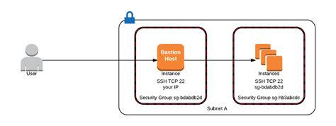Aws Architecture For Pas Deployment Cyberark Docs