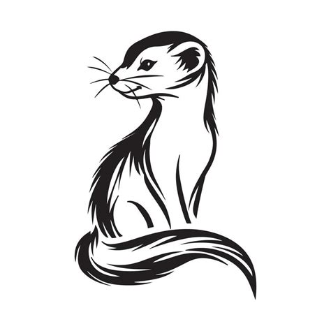 Weasel Vector Art Icons And Graphics Download Free Vectors Clipart