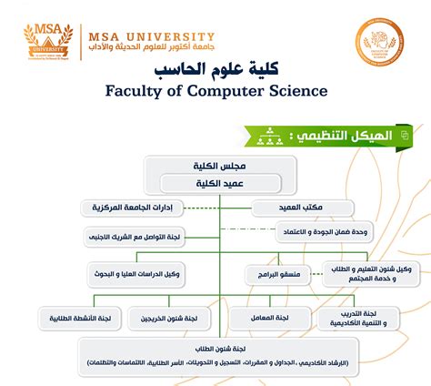 Organizational Structure Msa University