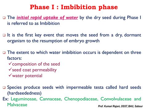 Seed Germination Testing Pdf
