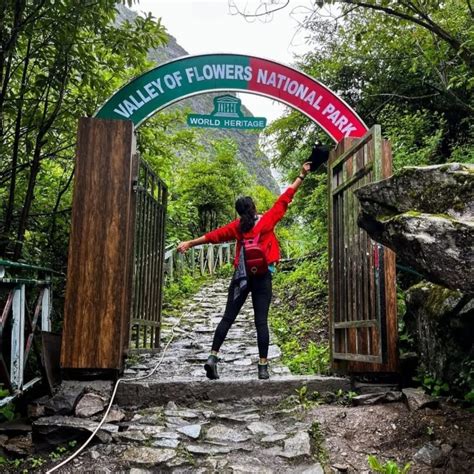 Valley Of Flowers Travel Guide And Itinerary