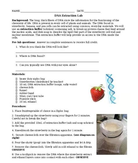 Strawberry Dna Extraction Lab Notes And Exit Ticket Worksheet Made By