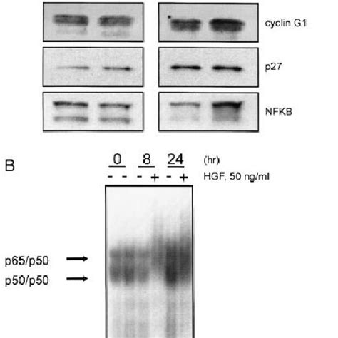 ECOG Performance Scoring System Download Scientific Diagram