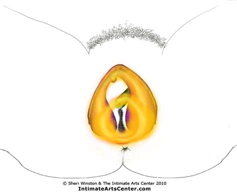 The Missing Female Pleasure Parts Intimate Arts Center