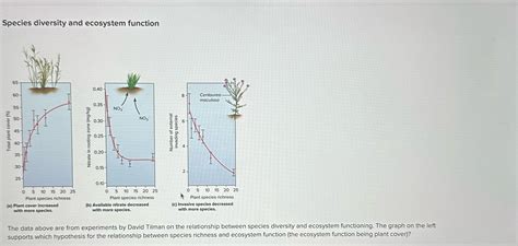 solved multiple choicerivet hypothesisspecies area
