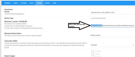IP Camera RTMP Server Hosting