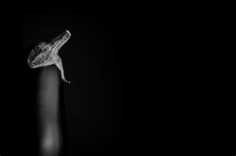 Less Stuff More Sex The Minimalists