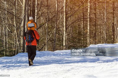 눈 덮인 숲에서 길을 따라 걷는 아들을 어깨에 짊어진 남자 겨울 하루 걷기에 대한 스톡 사진 및 기타 이미지 걷기 겨울