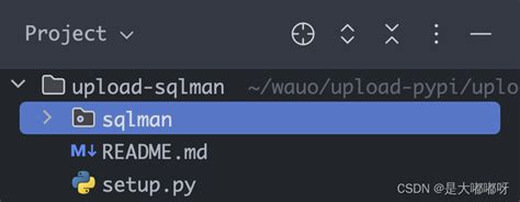 上传自己的项目到pypitwine 上传提示api Token Csdn博客 上传自己的项目到pypitwine 上传提示api Token Csdn博客