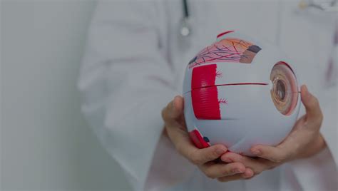 All You Need To Know About Epiretinal Membrane Surgery Shinagawa Eye