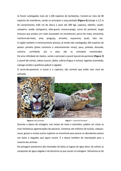 Bioma Pantanal Doc