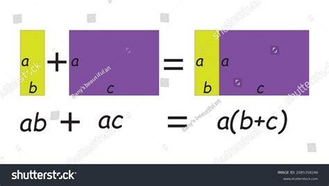 Visualization Distributive Law Positive Numbers Design Stock Vector Royalty Free 2085358246