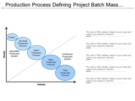 Production Process Defining Project Batch Mass And Flow Ppt Images Gallery Powerpoint Slide