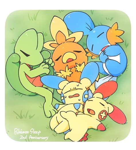 Torchic Mudkip Treecko Minun And Plusle Pokemon And 1 More Drawn By Otyappa Tyabatyaba