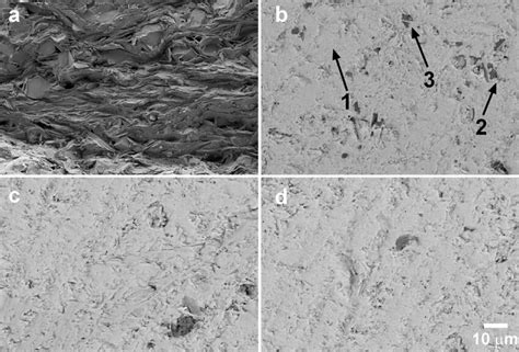 Representative Fracture Of The Central Part Of The Sample A Sem