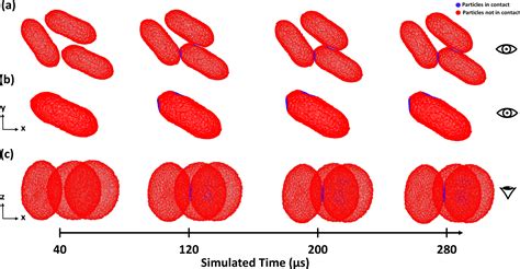 A Multiscale Model For Multiple Platelet Aggregation In Shear Flow Abstract Europe Pmc