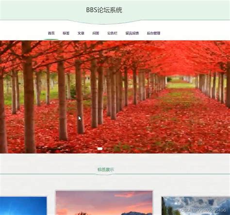nodejs vue校园论坛bbs系统w076f vue node js游戏论坛 csdn博客
