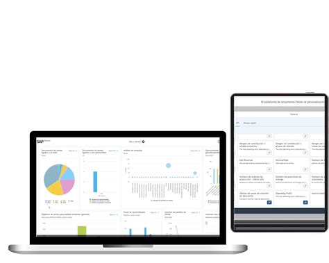 Consultoría Software Sap Erp Cloud