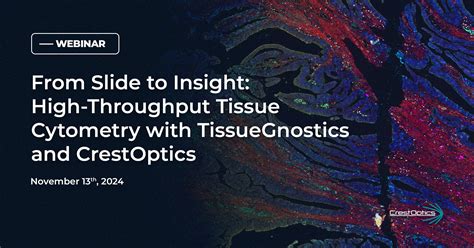 From Slide To Insight High Throughput Tissue Cytometry With Tissuegnostics