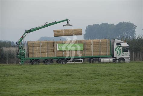 NIF Agro Supplies - Ніф Агро Постачання - интенсивный сад, шпалера ...