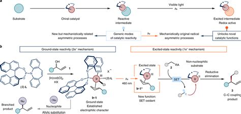 Enhancing The Potential Of Generic Modes Of Catalytic Reactivity With