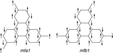 Understanding The Electronic Structure Of Magnetic Trinuclear Complexes