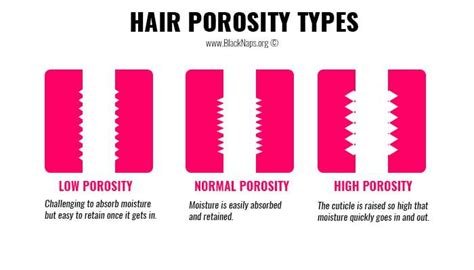 What Is Low Porosity And Why Does It Require An Entire Blog Know Your Low Porosity Curls
