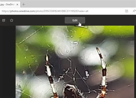 Use The Built In Markup Editor To Highlight Images On Onedrive Rawinfopages