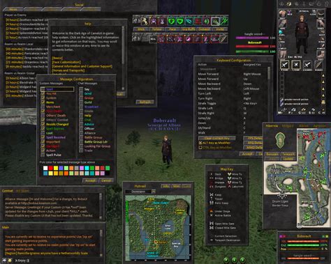 Bobsui Daoc Custom User Interface Features
