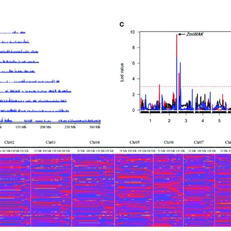 Genetic Linkage Map Construction With Bin Markers A Snp Density