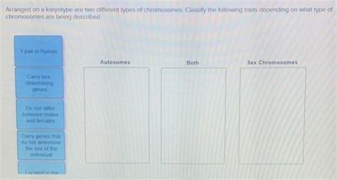 solved arranged on a karyotype are two different types of