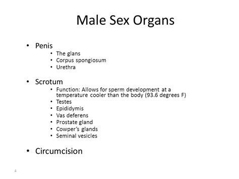 Sex And Your Body Chapter Five Ppt Video Online Download