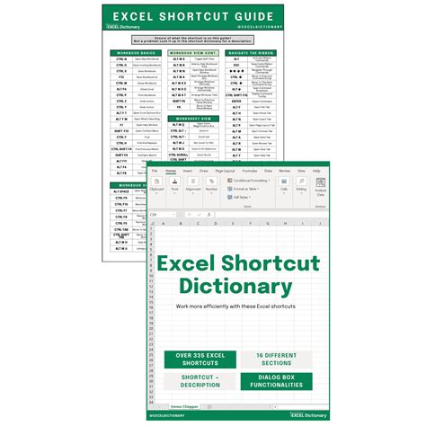 excel dictionary bundle
