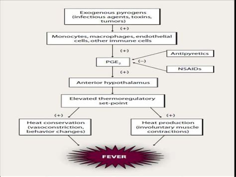 Fever Of Unknown Origin Pptx Infectious Diseases Diseases And Conditions