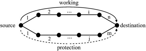 Availability Scheme Of A Path Protected Optical Connection Download