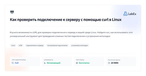 Проверка подключения к серверу в Linux руководство по Curl Labex