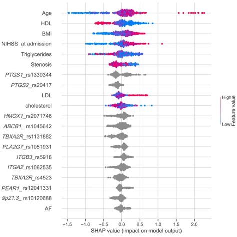 feature importance ranking obtained using shap values variables are