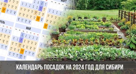 Лунный посевной календарь 2024 таблица посева и посадок для дачника и огородника