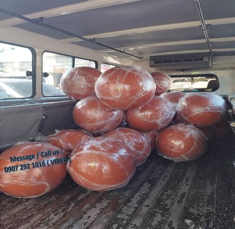 Float Buoy Float Buoy Supplier 27 Sports Equipment Sports And Games