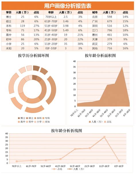 用户画像分析报告表Excel模板 用户画像分析报告表Excel模板下载 可视化图表 脚步网
