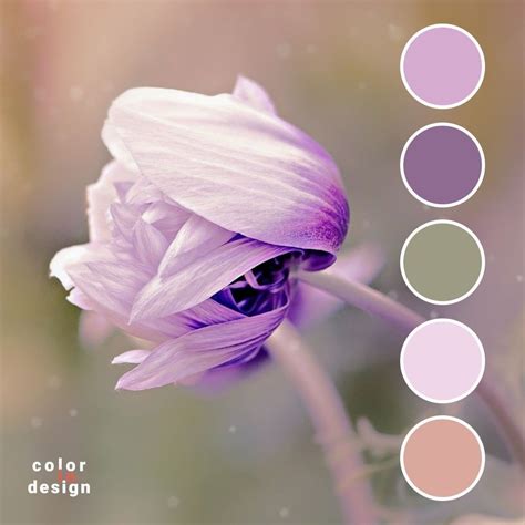 Сочетание цветов сиреневый фиолетовый кварцевый розовый Color Palette Design Color Schemes
