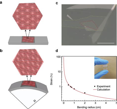 Heterostrain Enabled Dynamically Tunable Moiré Superlattice In Tbg A
