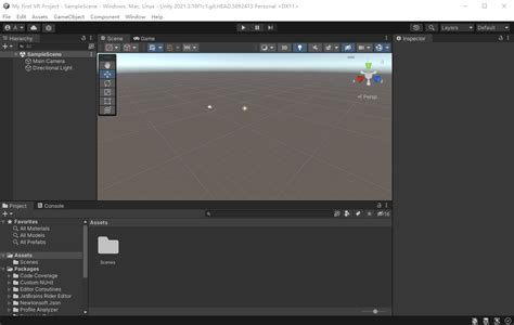 Import Sdk And Configuration Items Sxr Pluginopenxr Documentation