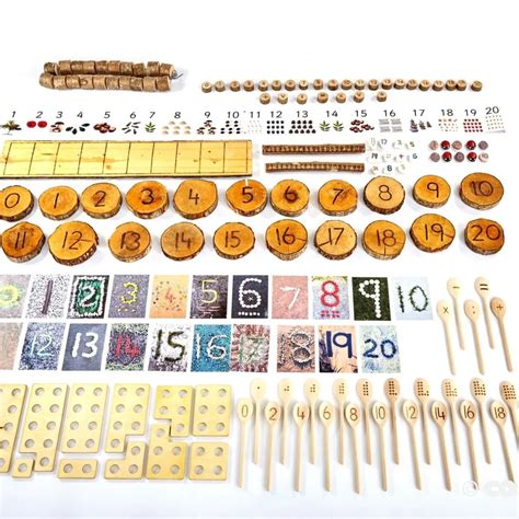 Natural Counting Set 100 Items Educational Equipment Supplies