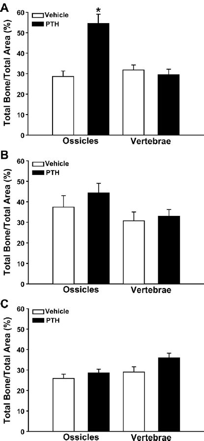 Histomorphometric Analysis Was Used To Quantitate Percent Total Bone Of