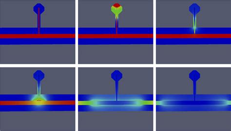 Simulation Of Intracellular Calcium Dynamics Using The Spine Generator